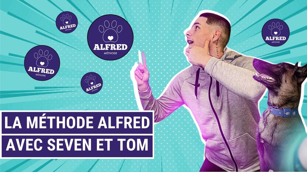 La méthode ALFRED avec Seven et Tom – Methode Alfred