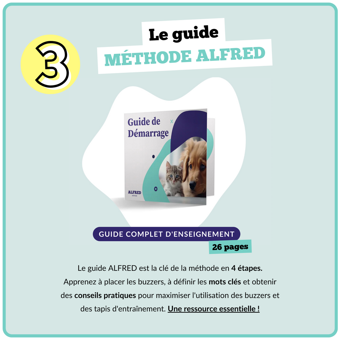 Décodez le langage de votre animal | Buzzers pour chien et chat – Methode Alfred