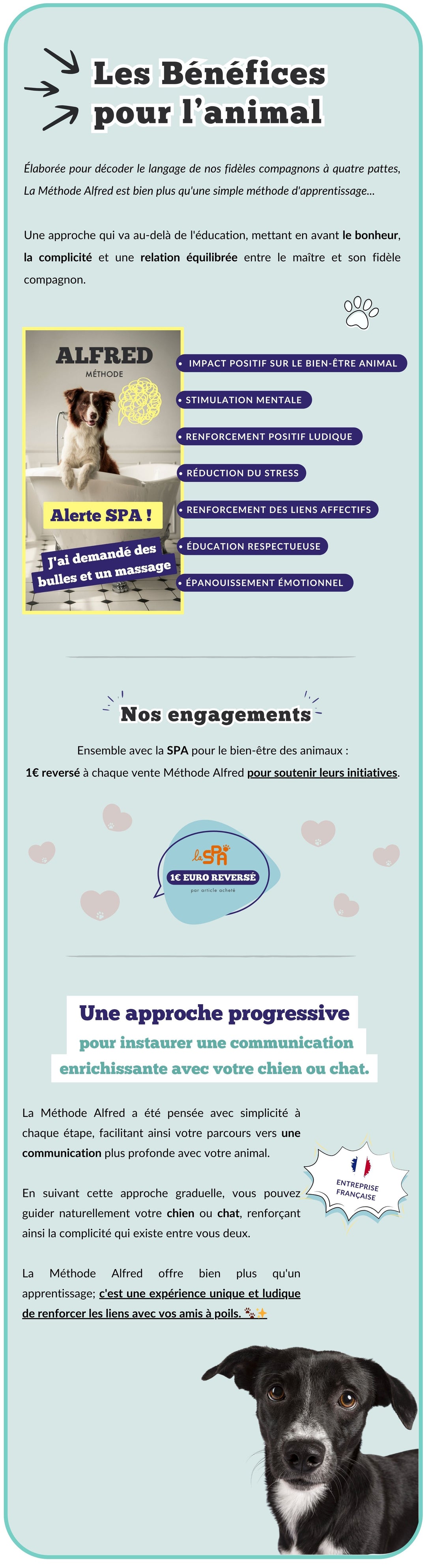 Comment ca marche ? – Methode Alfred