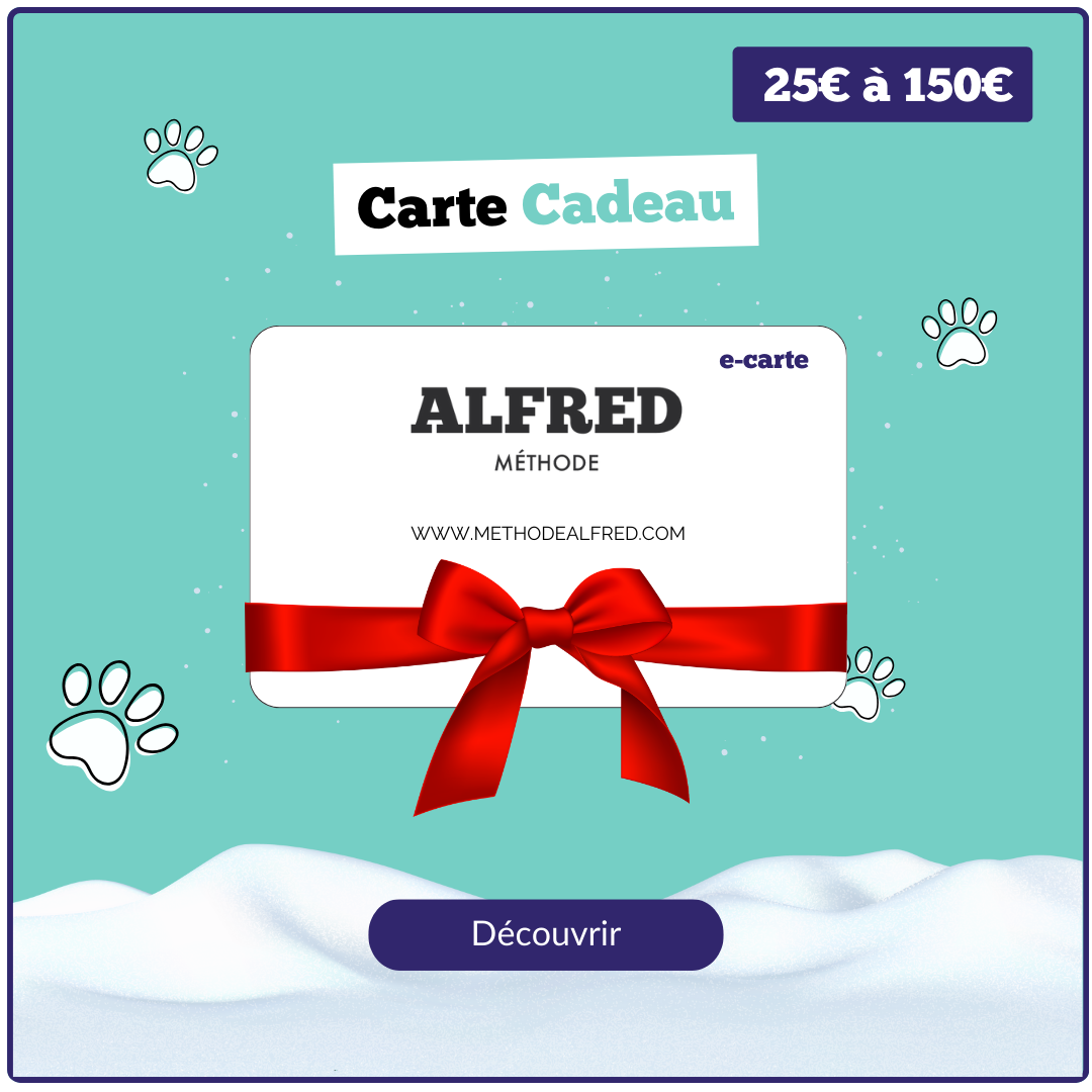 Décodez le langage de votre animal | Buzzers pour chien et chat – Methode Alfred